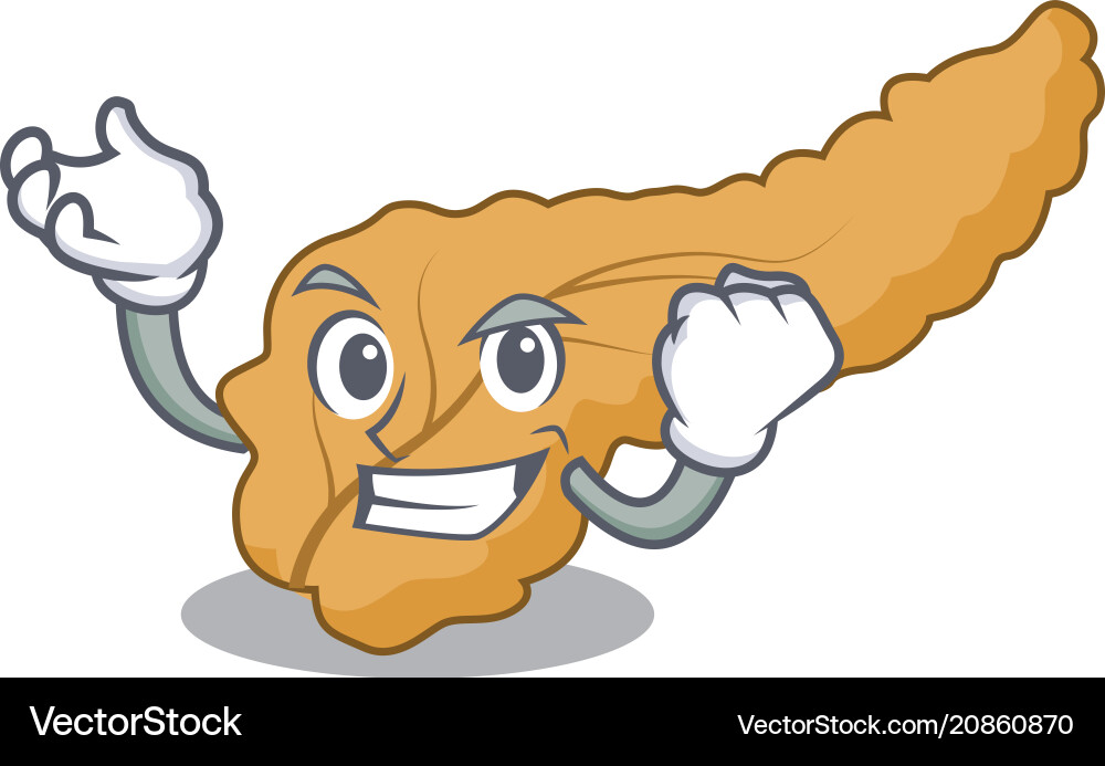 Successful pancreas character cartoon style Vector Image