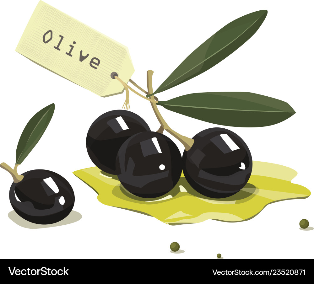 Olive branch Royalty Free Vector Image - VectorStock
