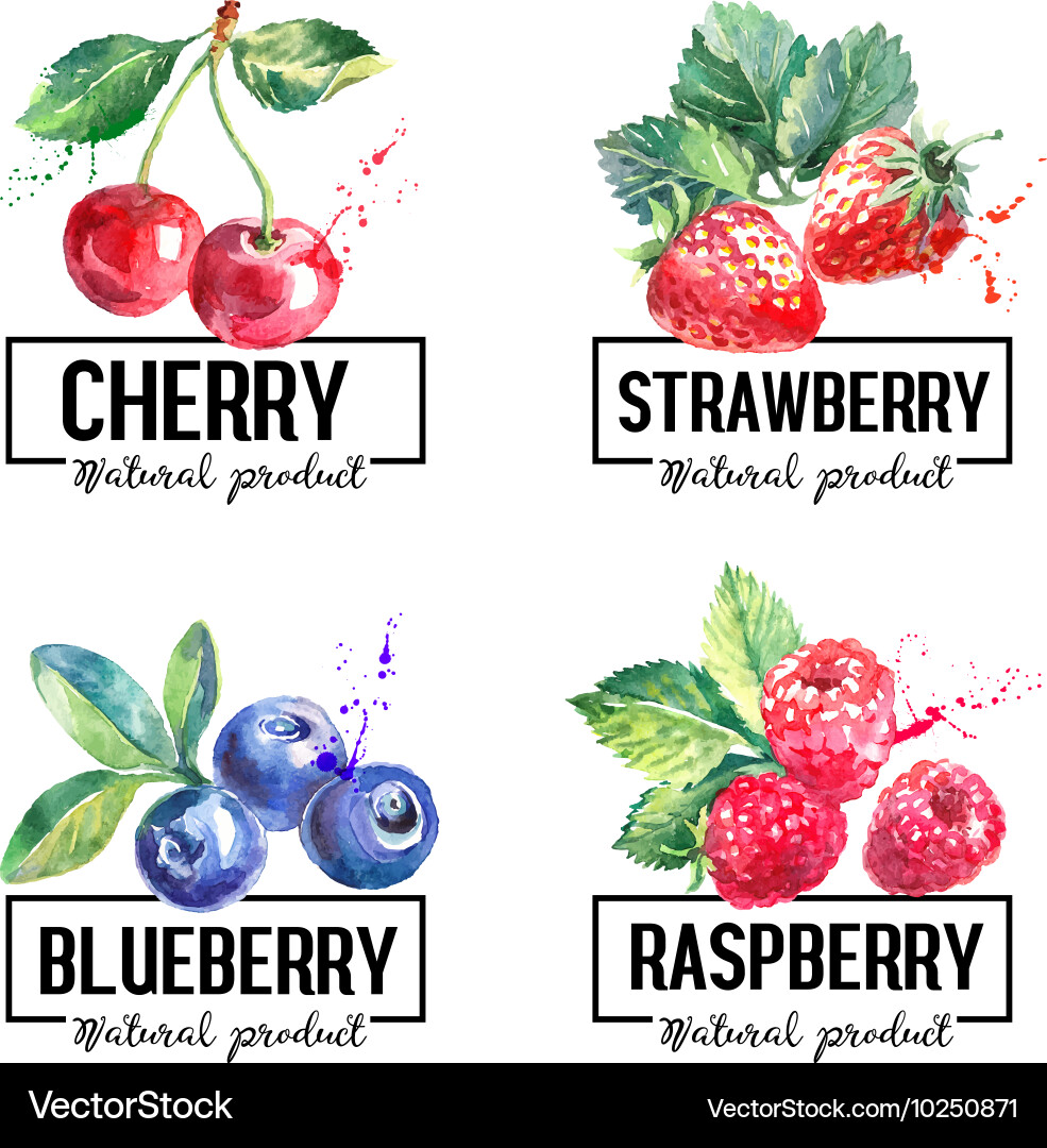 Watercolor Berry Food Labels Royalty Free Vector Image