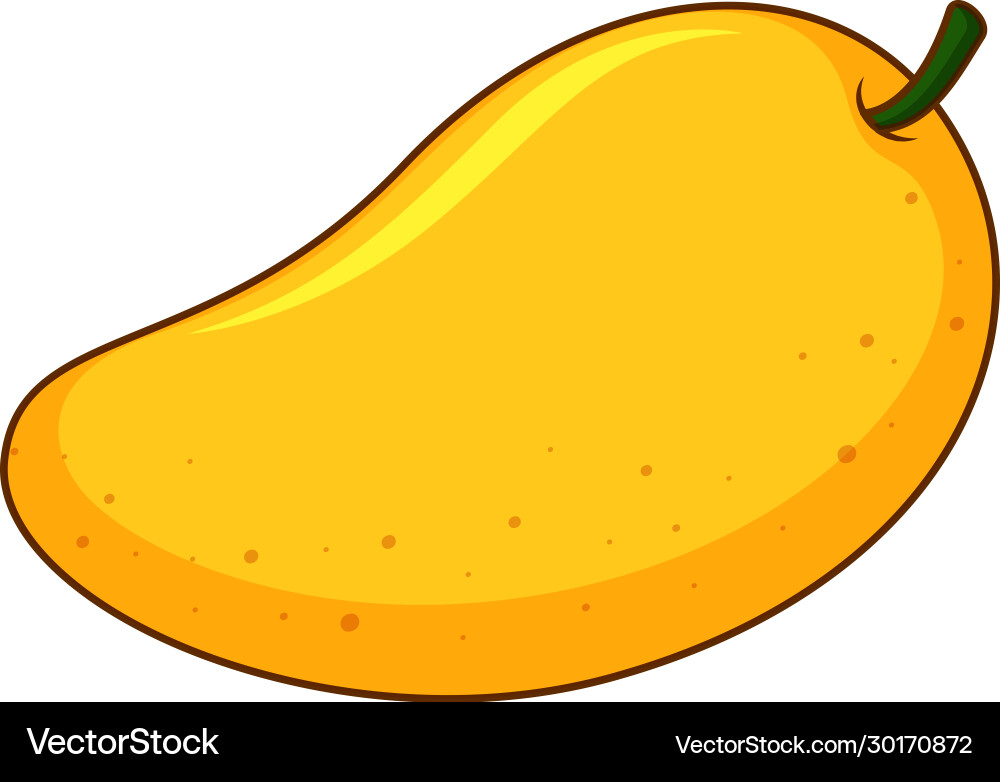 One yellow mango on white background Royalty Free Vector