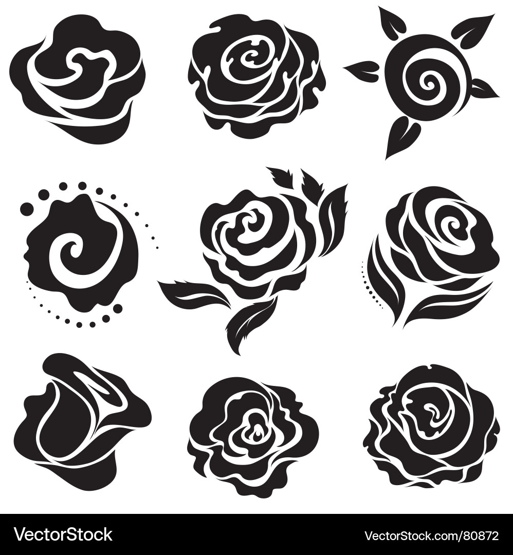 Tropical Rose Flowers Vector Images (over 11,000)