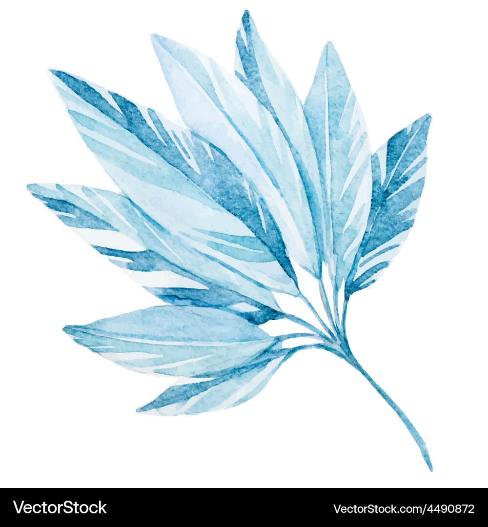 Watercolor leaf Royalty Free Vector Image - VectorStock