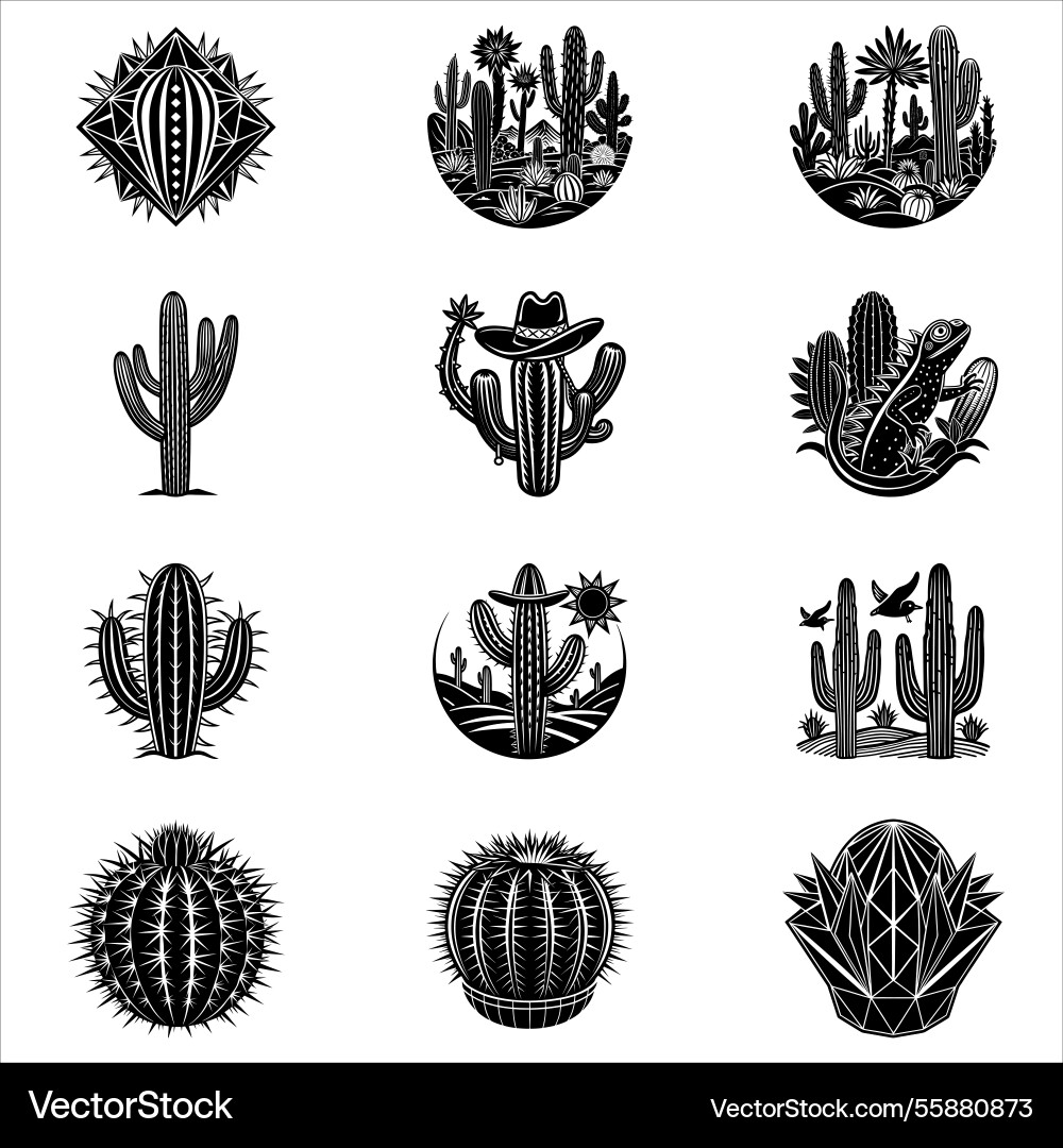Cactus Royalty Free Vector Image - VectorStock