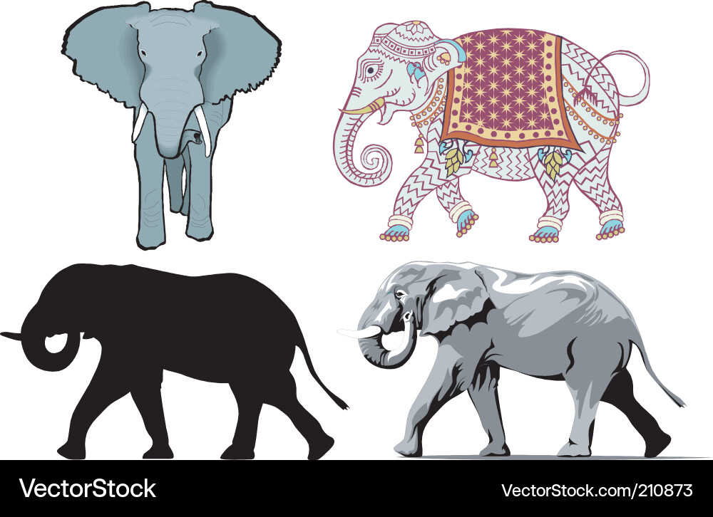Elephants Royalty Free Vector Image - VectorStock