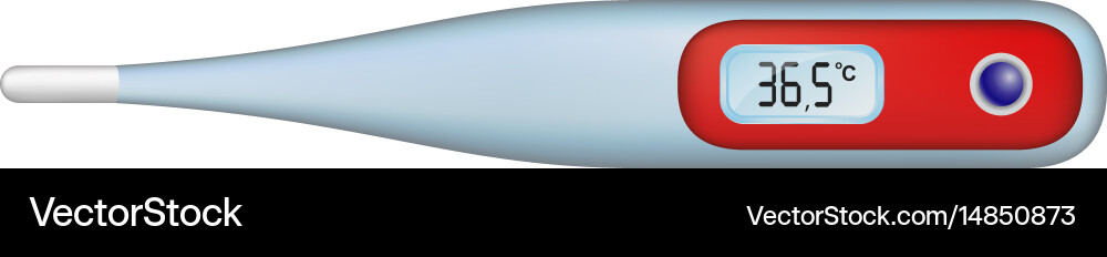 Medical digital thermometer Royalty Free Vector Image