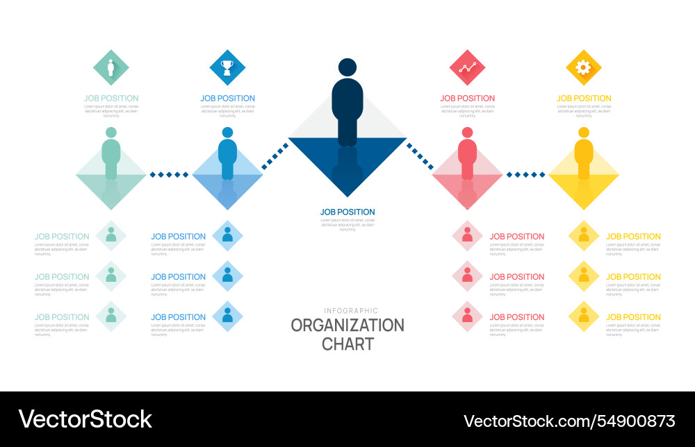 Organization chart infographic template Royalty Free Vector