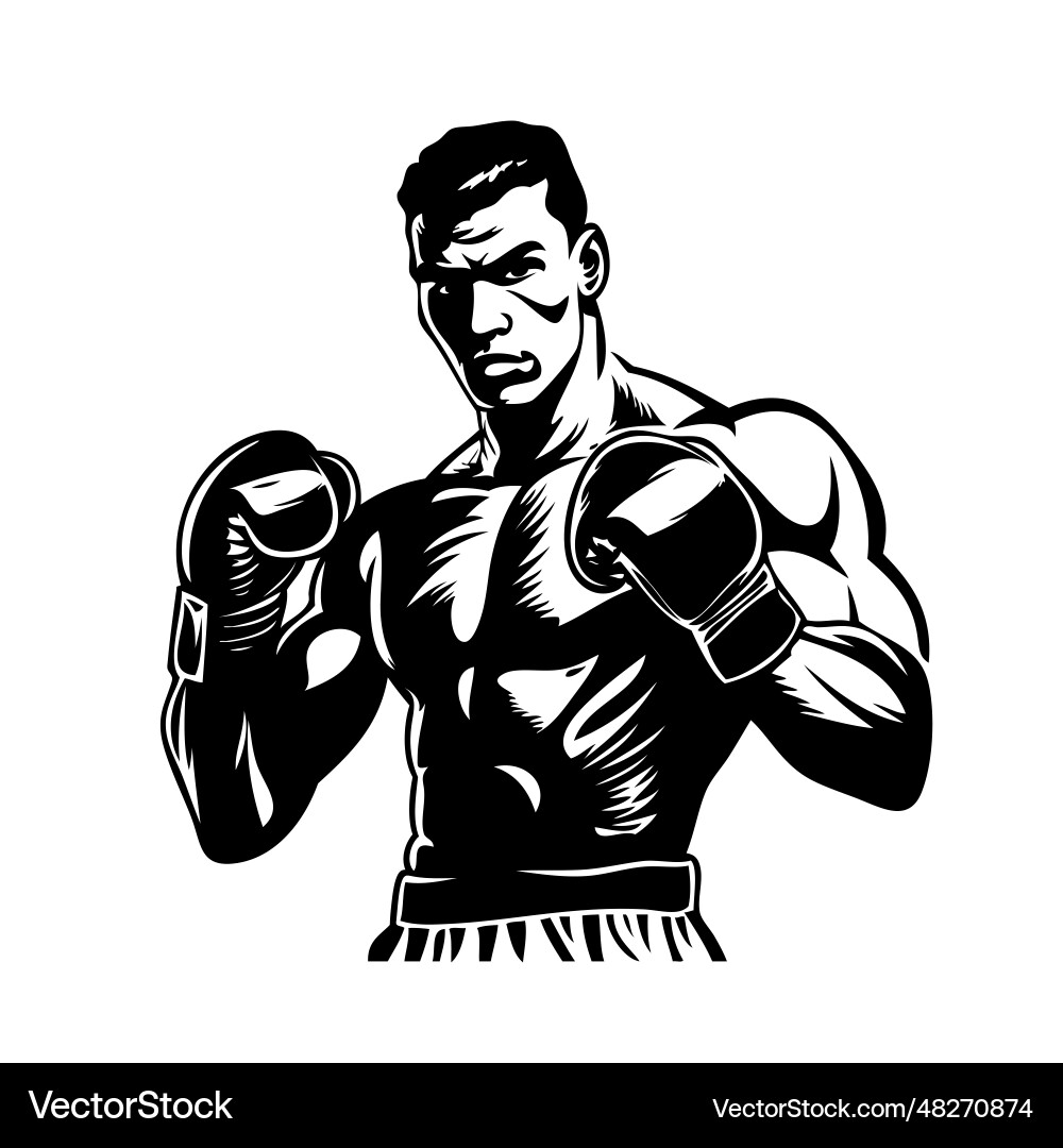 Boxer sportsman Royalty Free Vector Image - VectorStock