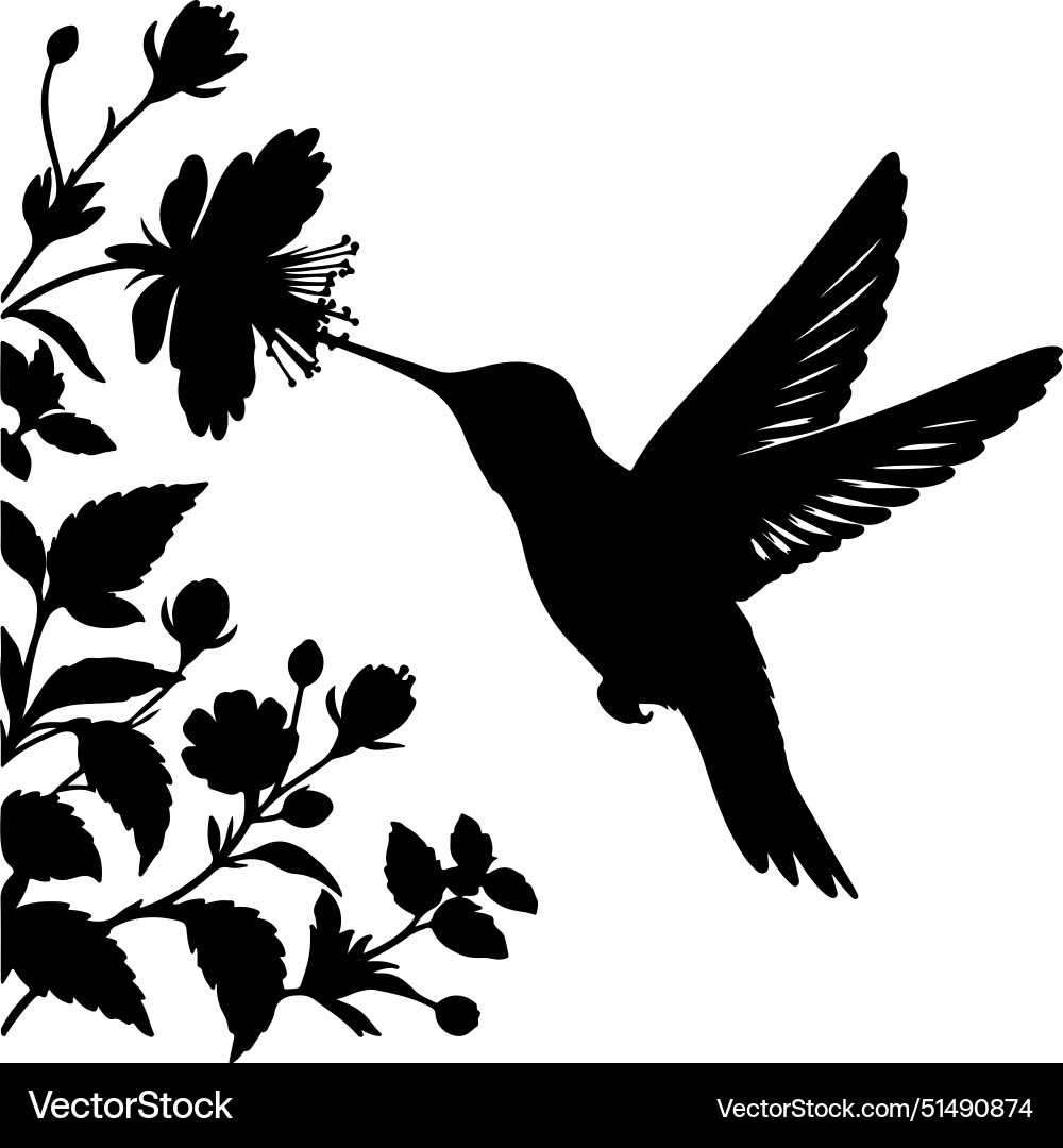 Flying hummingbirds silhouette isolated on white Vector Image