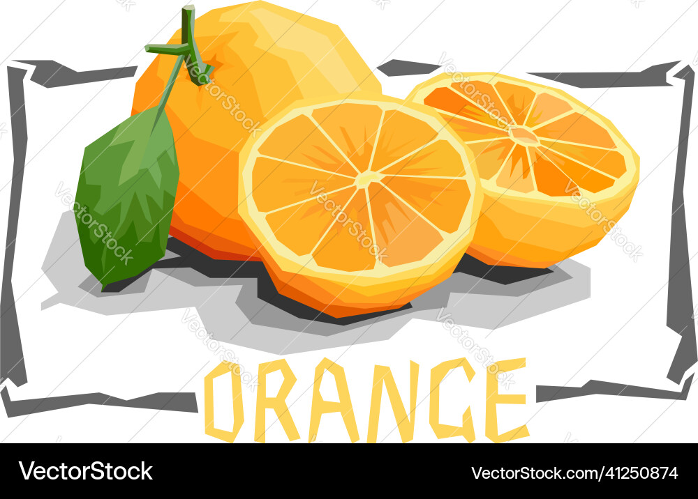 Simple of oranges Royalty Free Vector Image - VectorStock