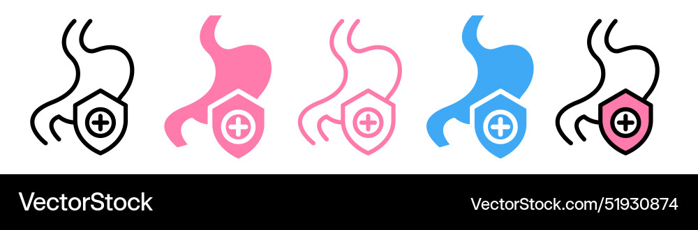 Stomach health and digestive system protection Vector Image