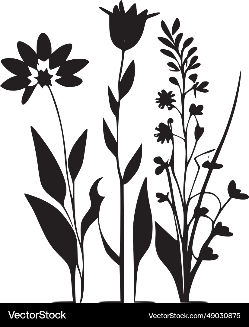 Flowers - black and white Royalty Free Vector Image