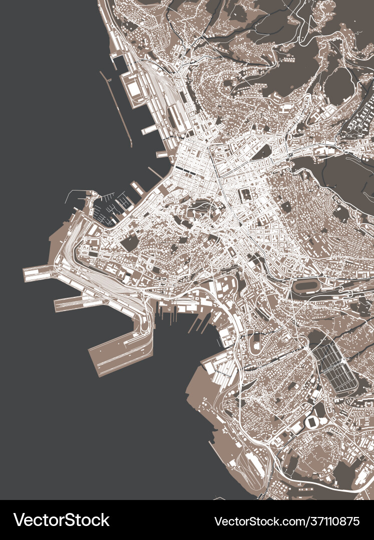 Map city trieste italy Royalty Free Vector Image