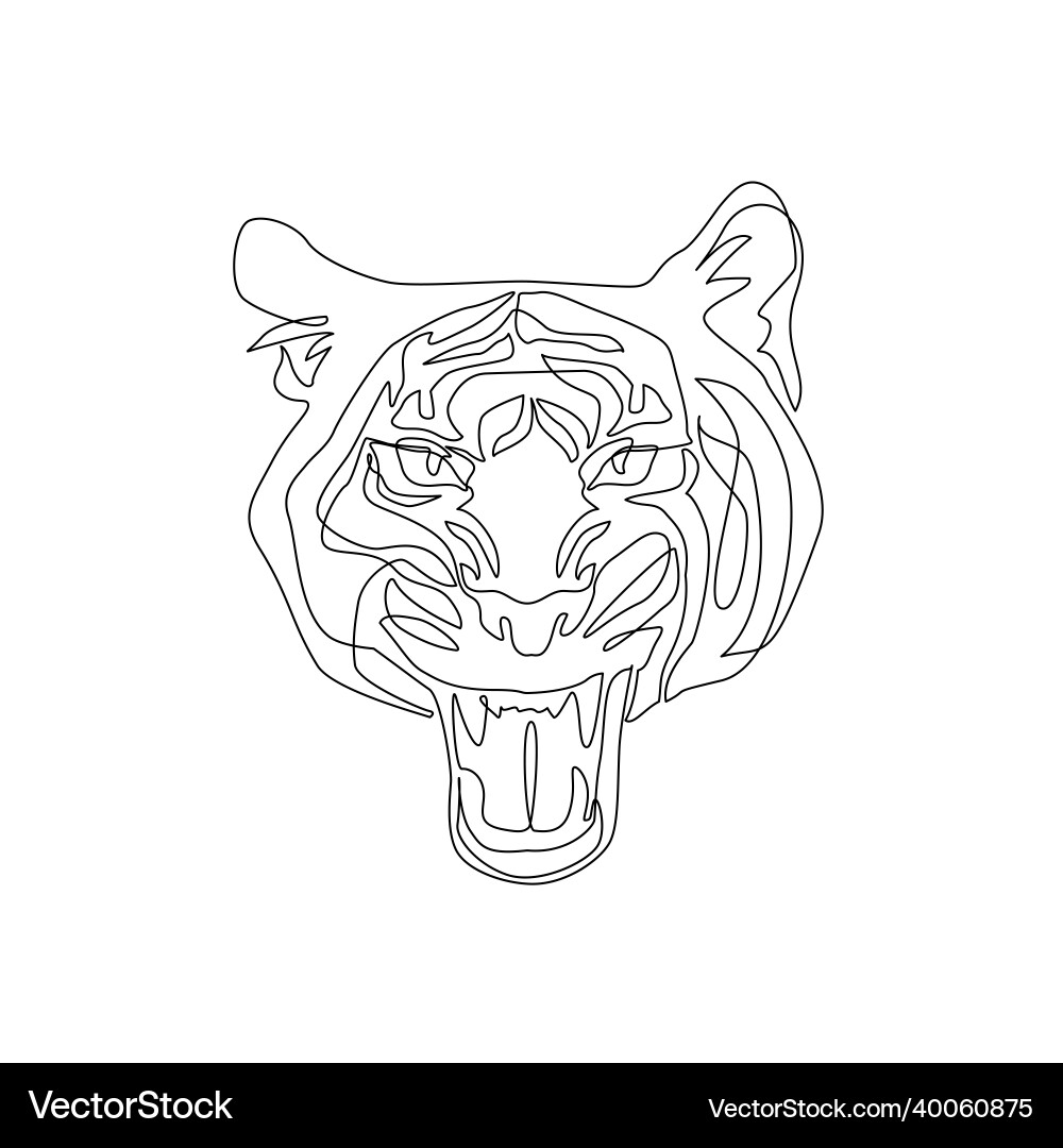 Tiger head one line drawing style roaring Vector Image