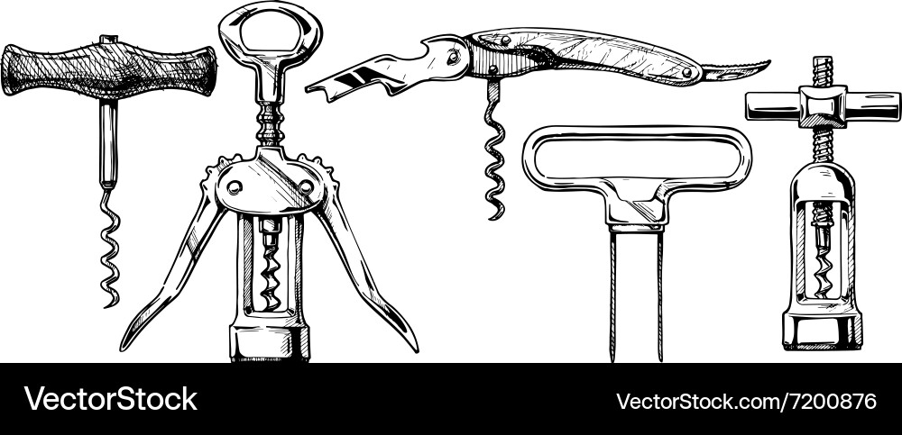 Wine Key Vector Images (over 1,800)