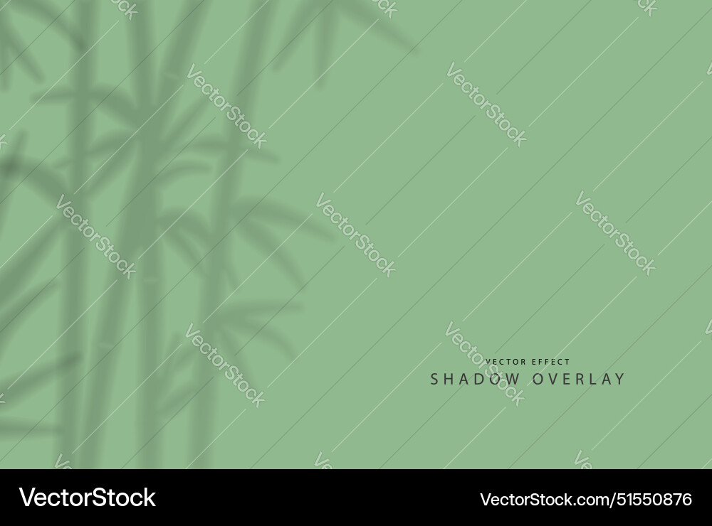 Shadow overlay effect Royalty Free Vector Image