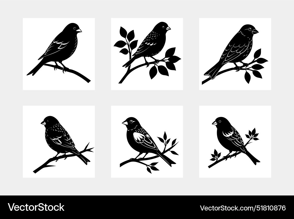 Silhouette of a bird on tree branch Royalty Free Vector