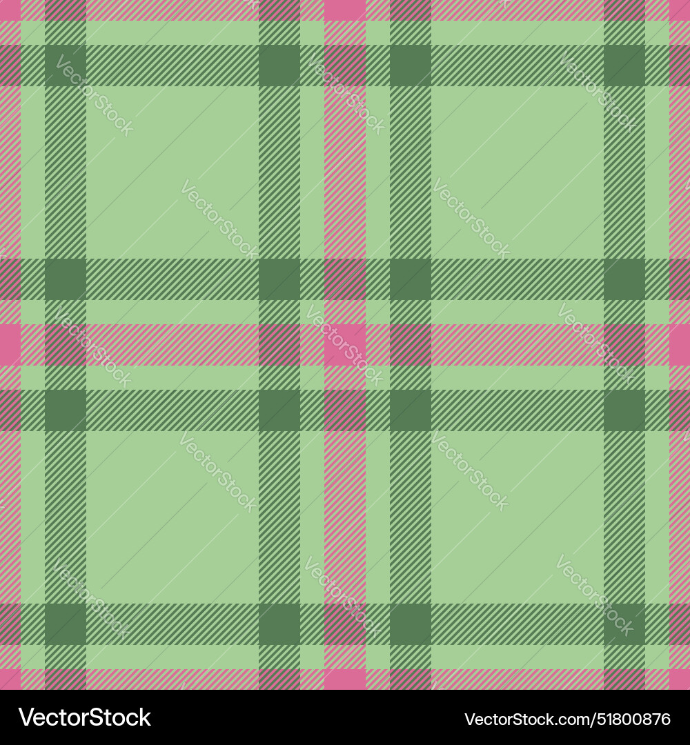 Skirt tartan pattern age textile texture plaid Vector Image