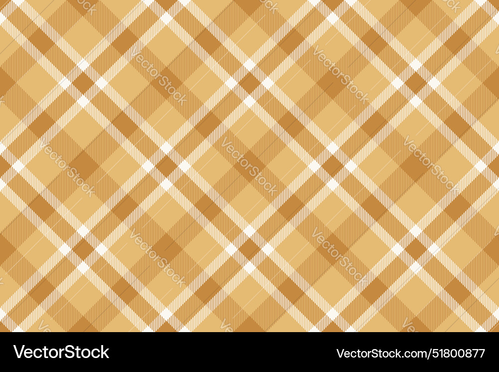 Checker fabric textile background kind pattern Vector Image