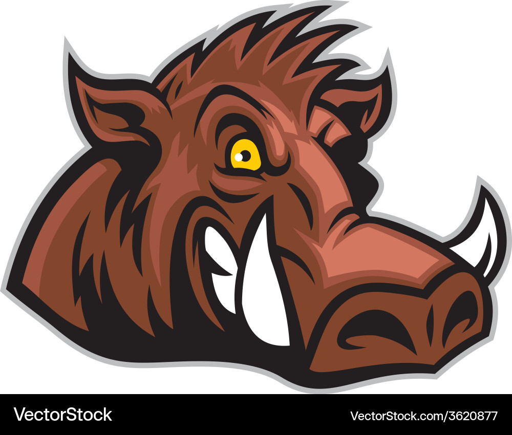 Wild hog head Royalty Free Vector Image - VectorStock