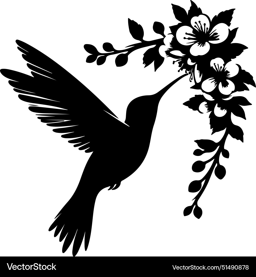 Flying hummingbirds silhouette isolated on white Vector Image