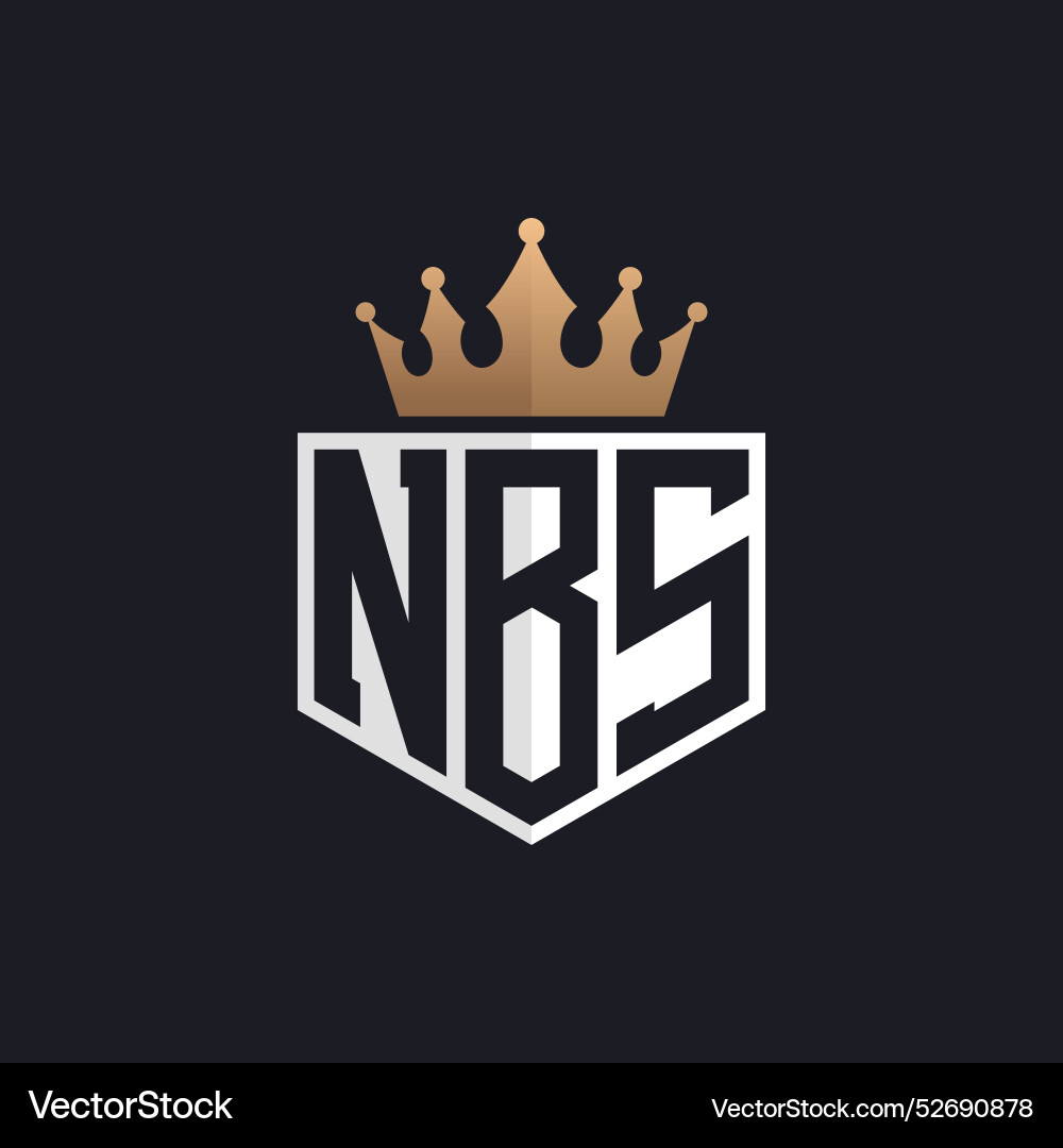 Luxury nbs logo with crown elegant initials Vector Image