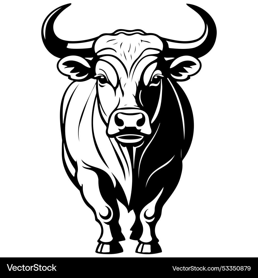 Bull hand drawn line transparent background Vector Image