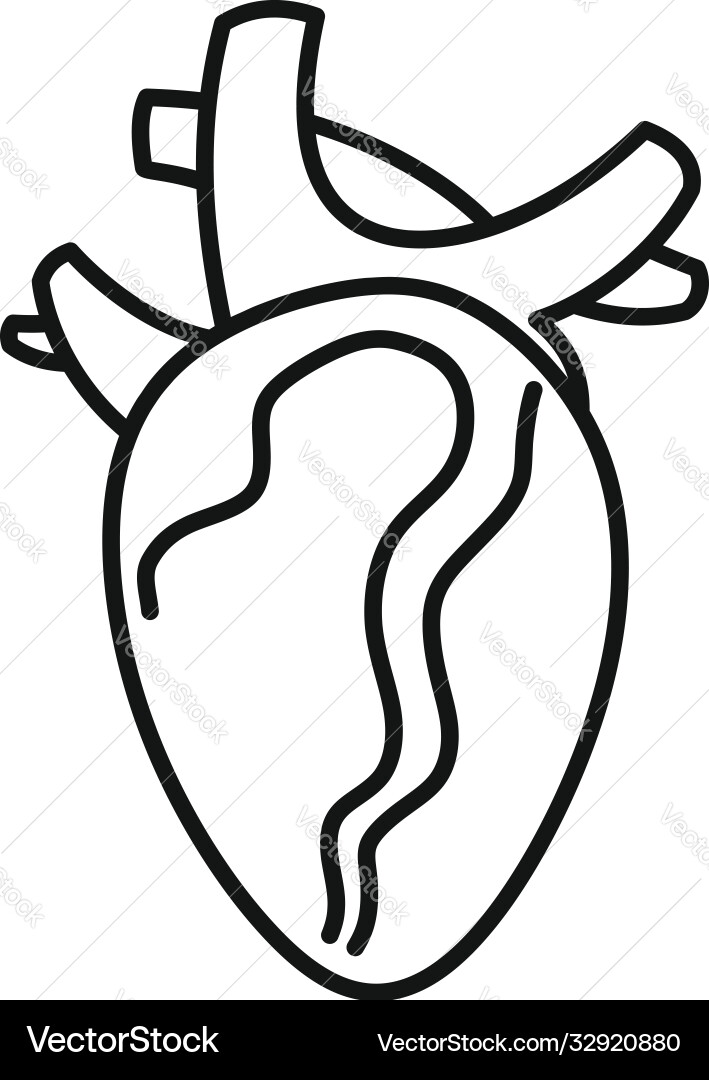 Cardiology human heart icon outline style Vector Image