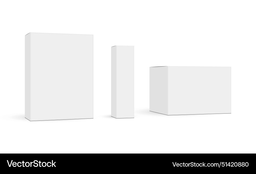 Set of packaging rectangular boxes mockups Vector Image