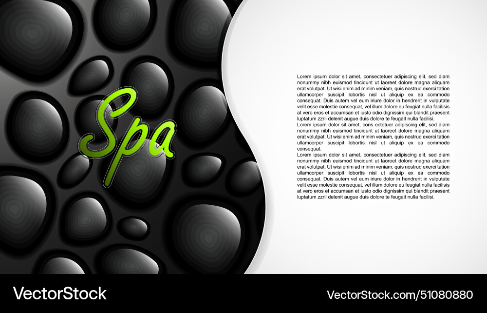 Spa stones background Royalty Free Vector Image