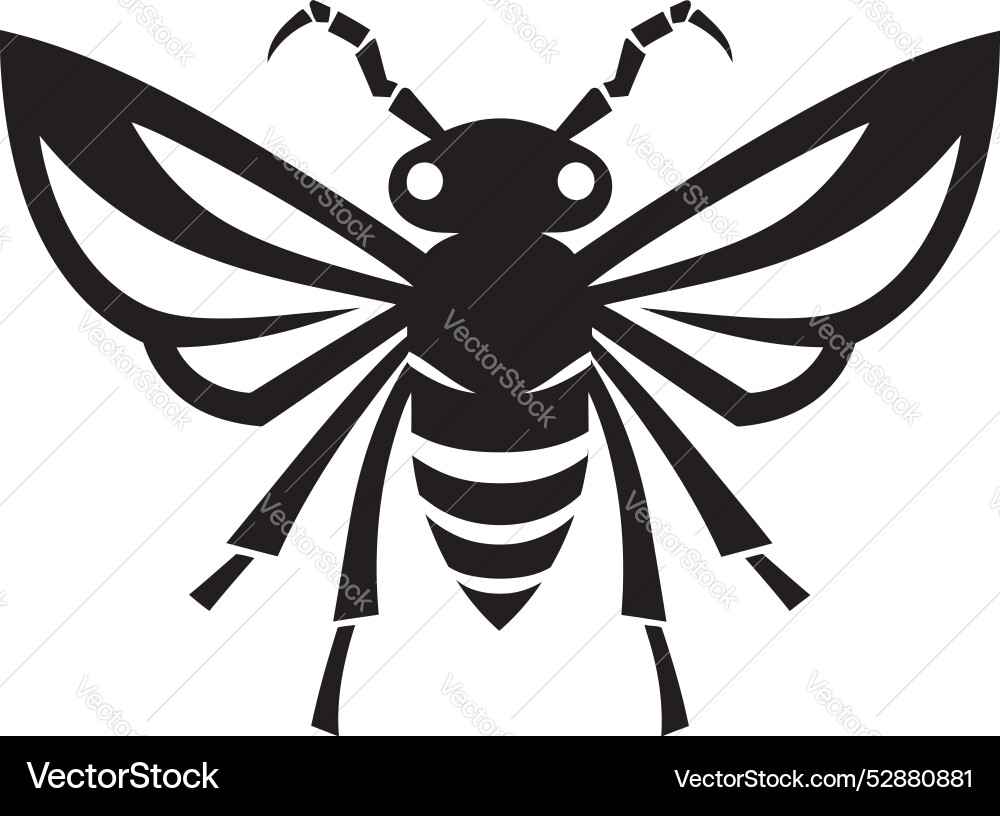 Wasp iconic tarantula hawk dominance Royalty Free Vector