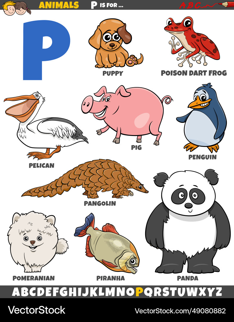 Cartoon animal characters for letter p Royalty Free Vector