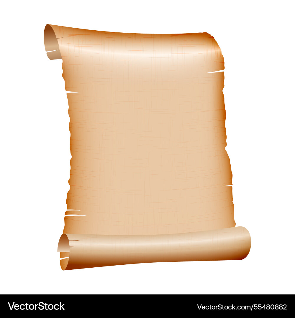 Old blank scroll paper on white background Vector Image
