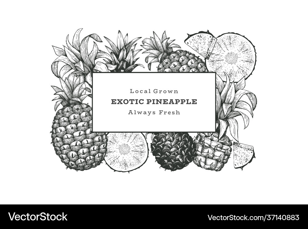 Hand drawn sketch style pineapple banner organic Vector Image