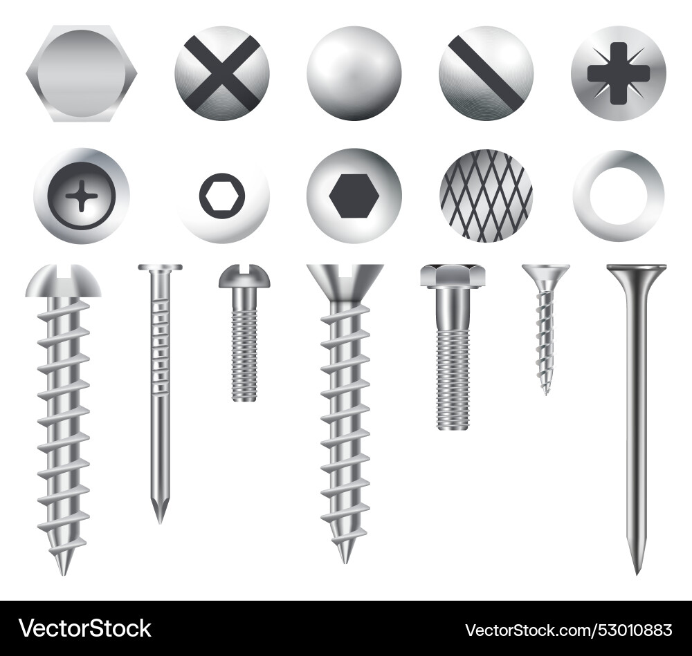 Realistic metal fasteners screw and rivets Vector Image