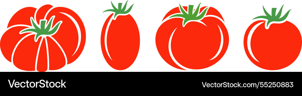 Tomato Royalty Free Vector Image - VectorStock