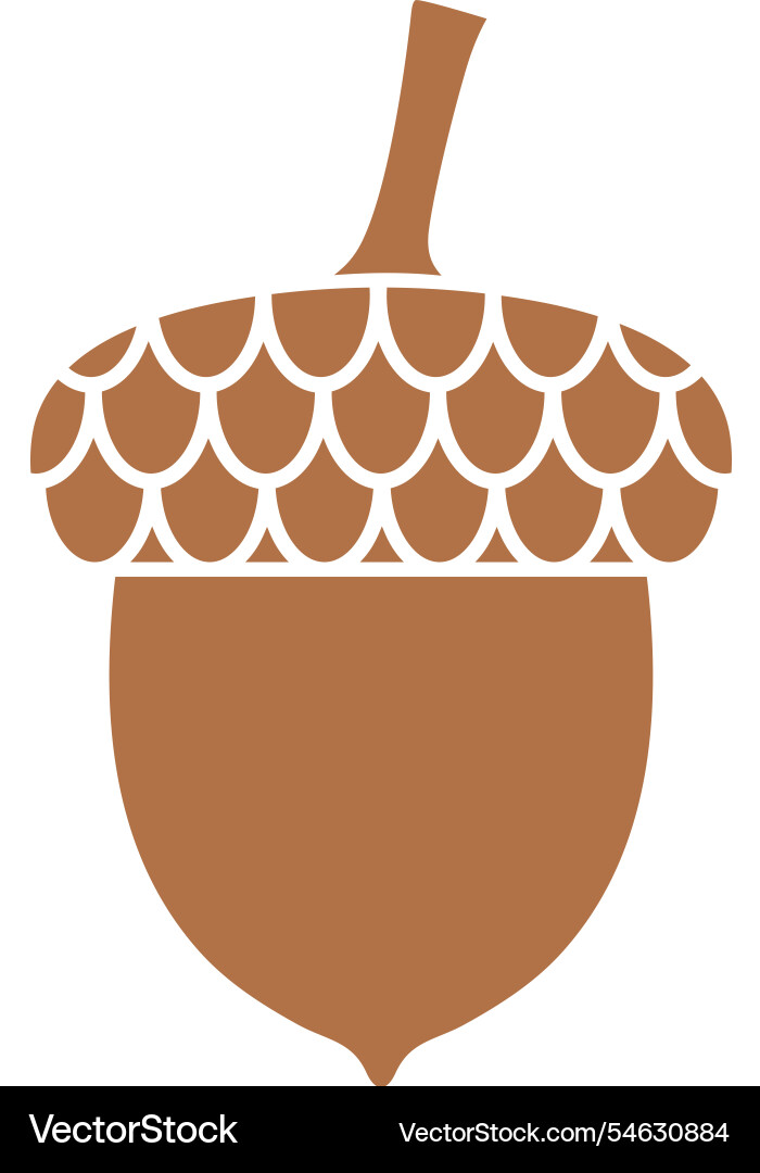 Acorn Royalty Free Vector Image - VectorStock