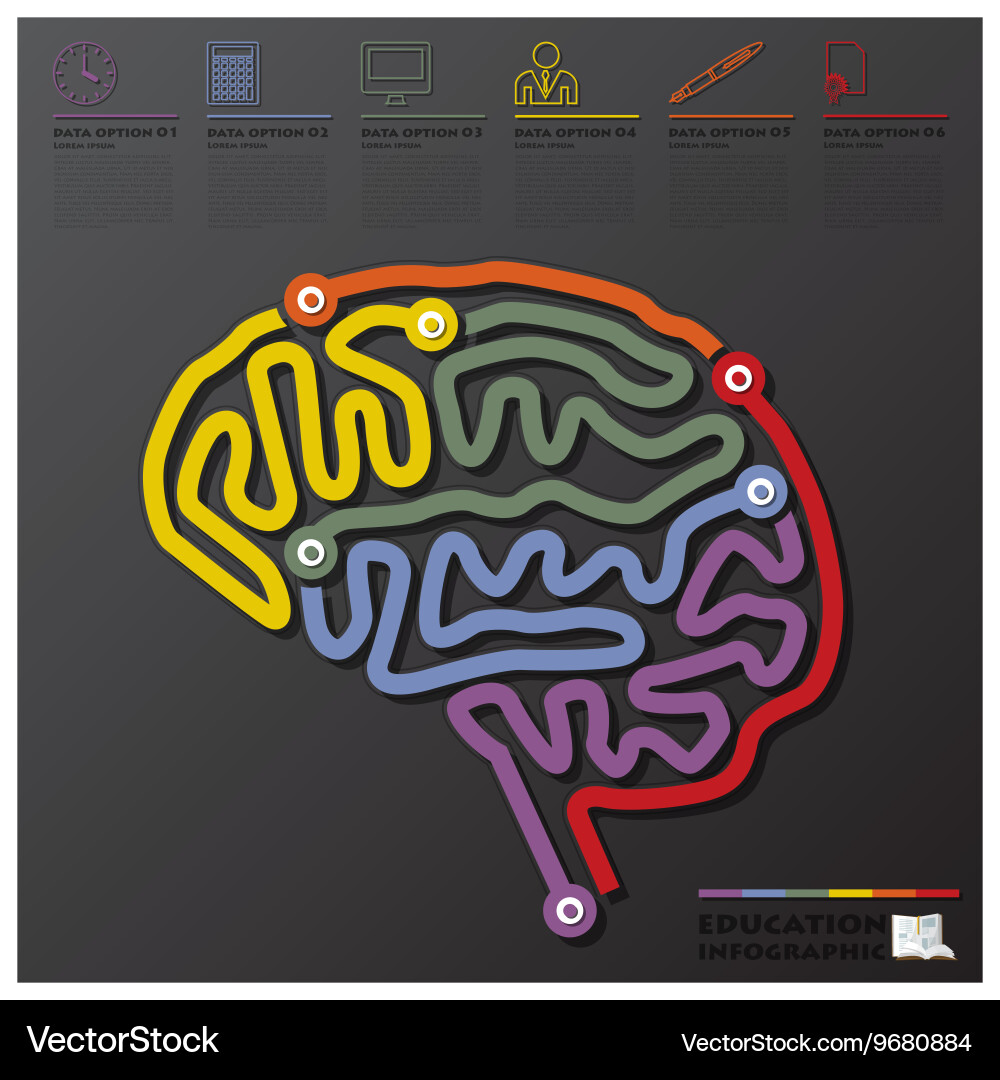 Brain shape education and graduation connection Vector Image