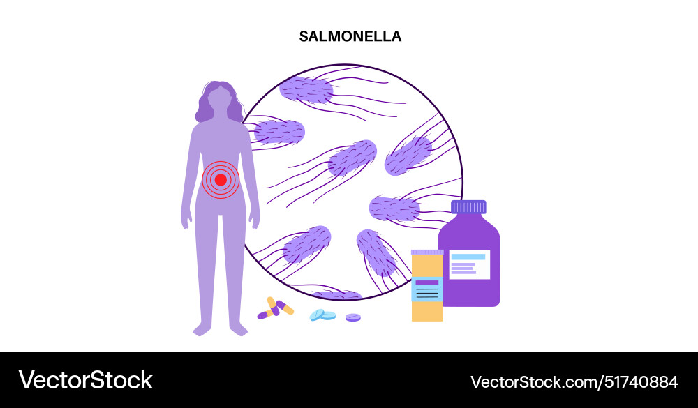 Salmonella typhimurium cells Royalty Free Vector Image