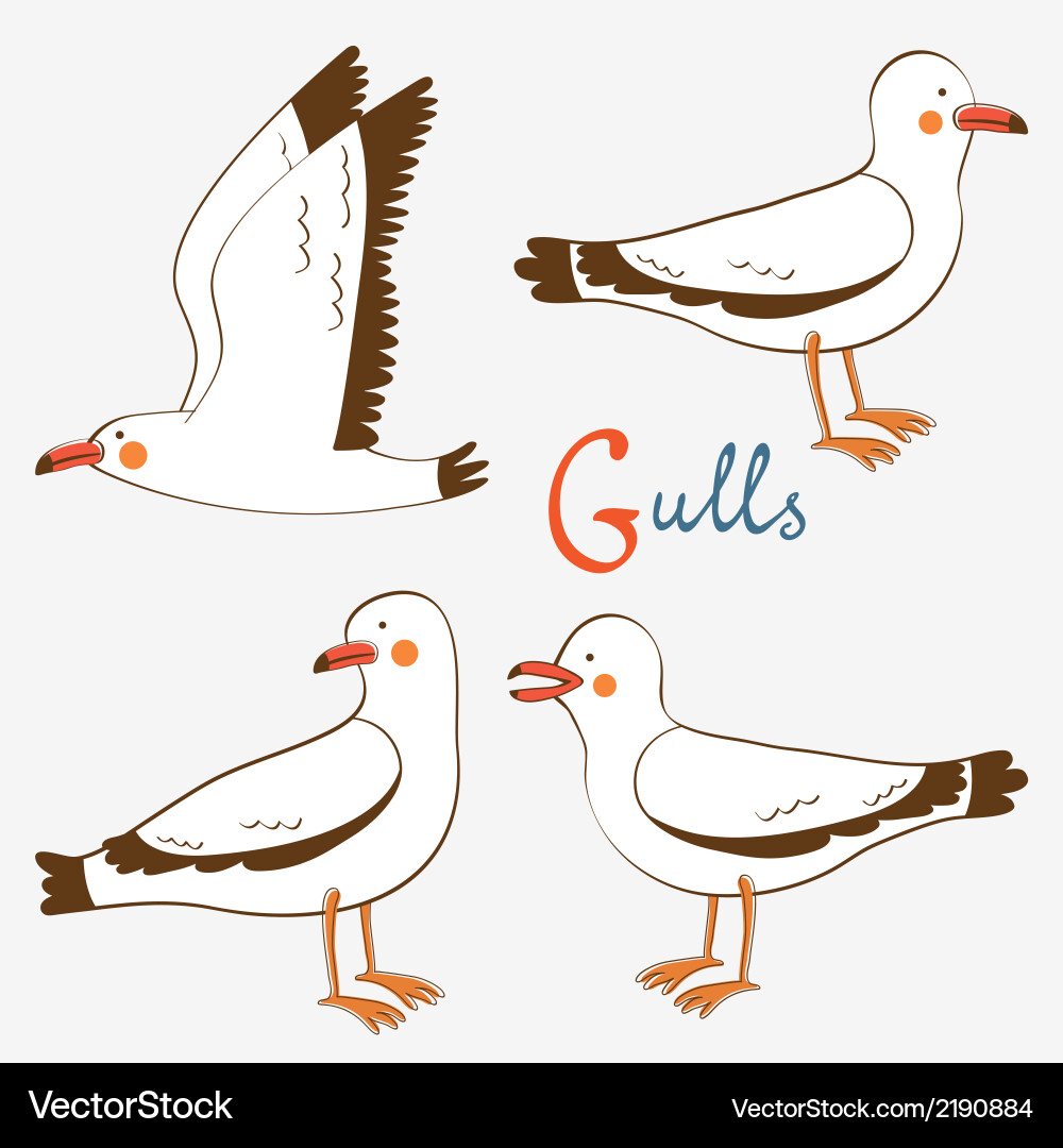 Seagulls collection Royalty Free Vector Image - VectorStock