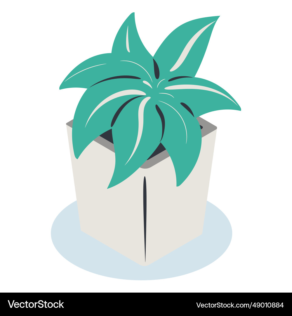 Square pot plant isometric Royalty Free Vector Image