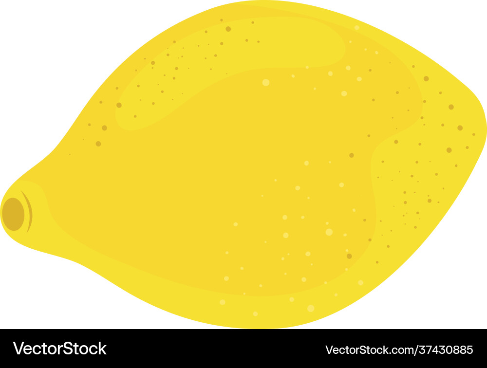 Fresh lemon citrus Royalty Free Vector Image - VectorStock