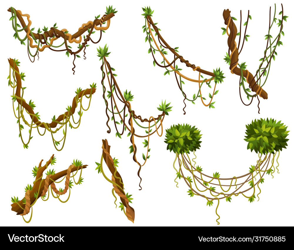 Curly Vine Vector Images (over 530)