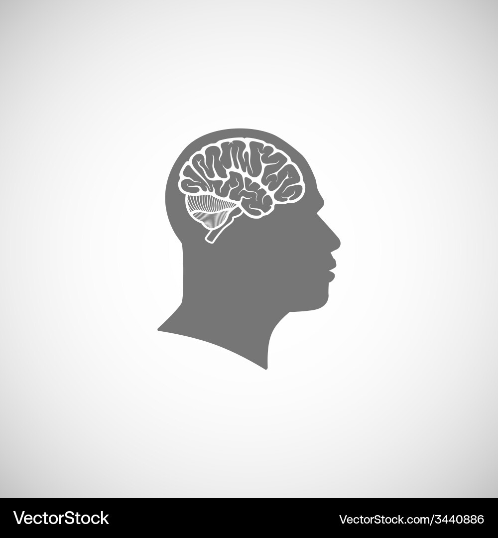 Human head with brain Royalty Free Vector Image