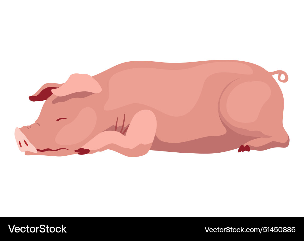 Pig set flat cartoon isolated on white background Vector Image