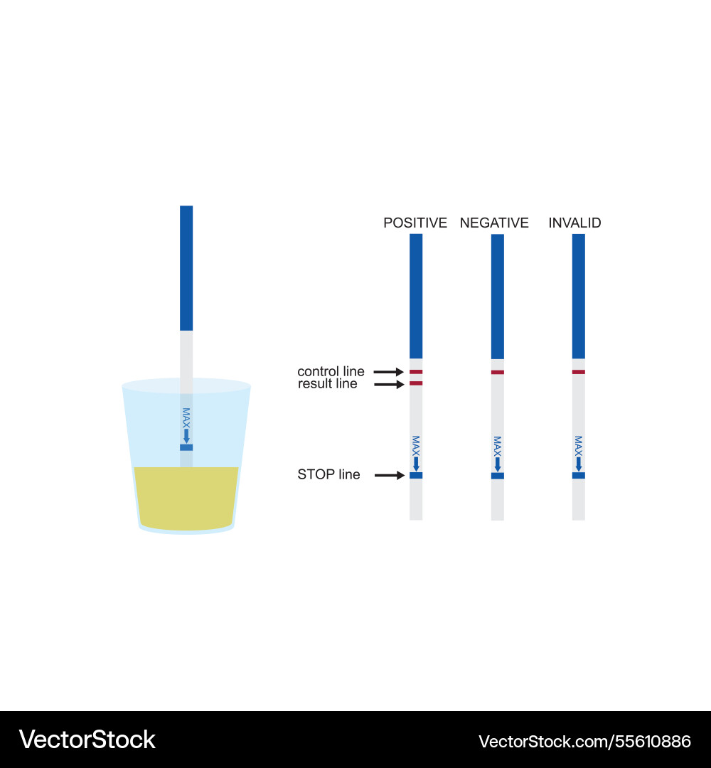 Pregnancy test sticks with results Royalty Free Vector Image