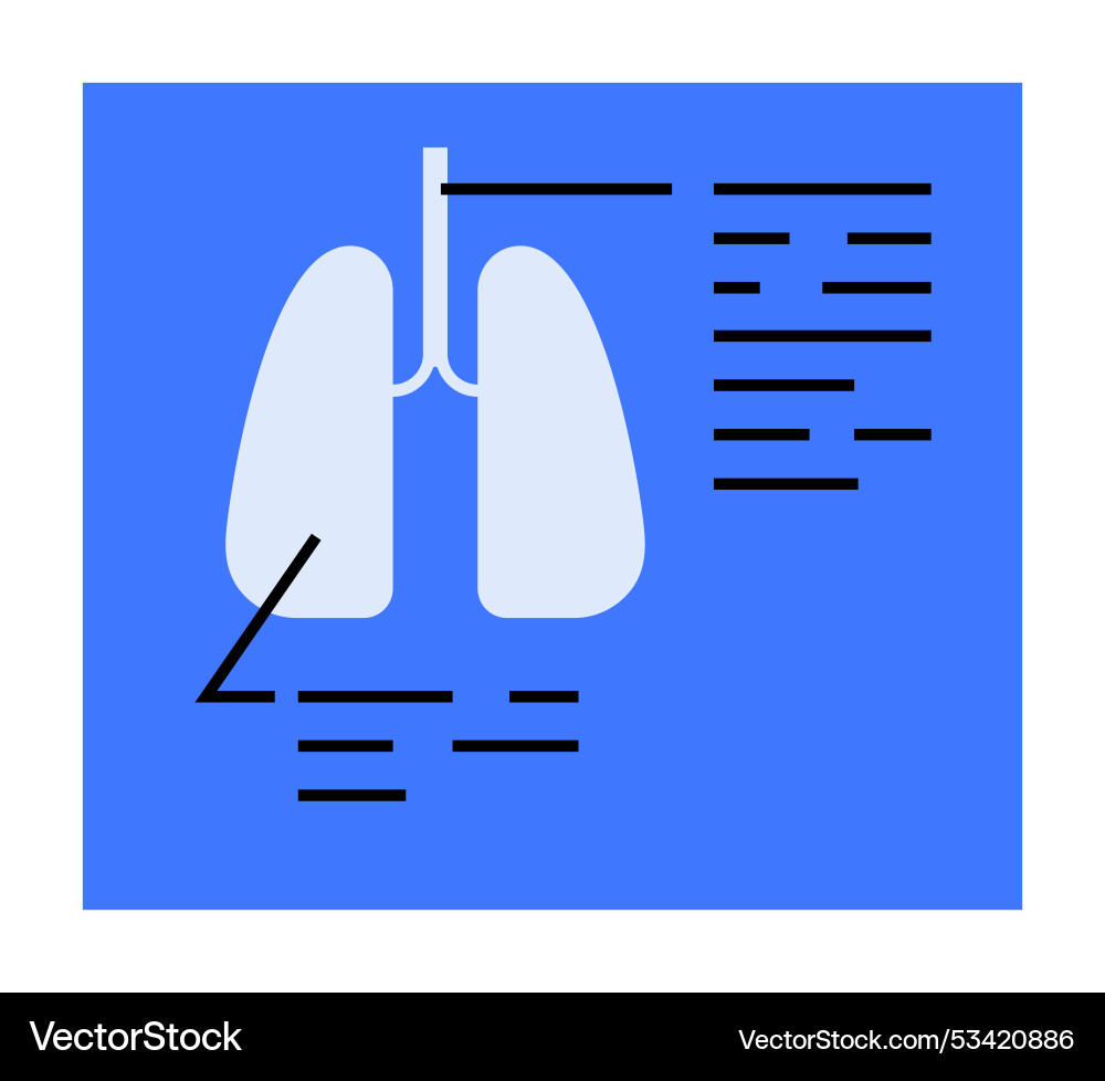 Simplified representation of human lungs Vector Image