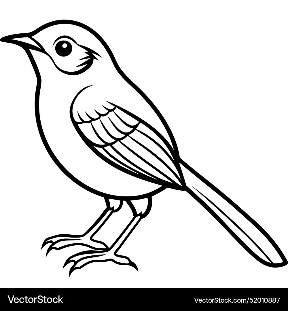 Fairy-wren bird sits icon Royalty Free Vector Image