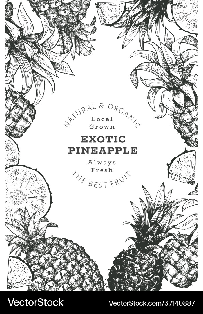 Hand gezeichnete Skizze Stil Ananas Banner bio Vektorbild