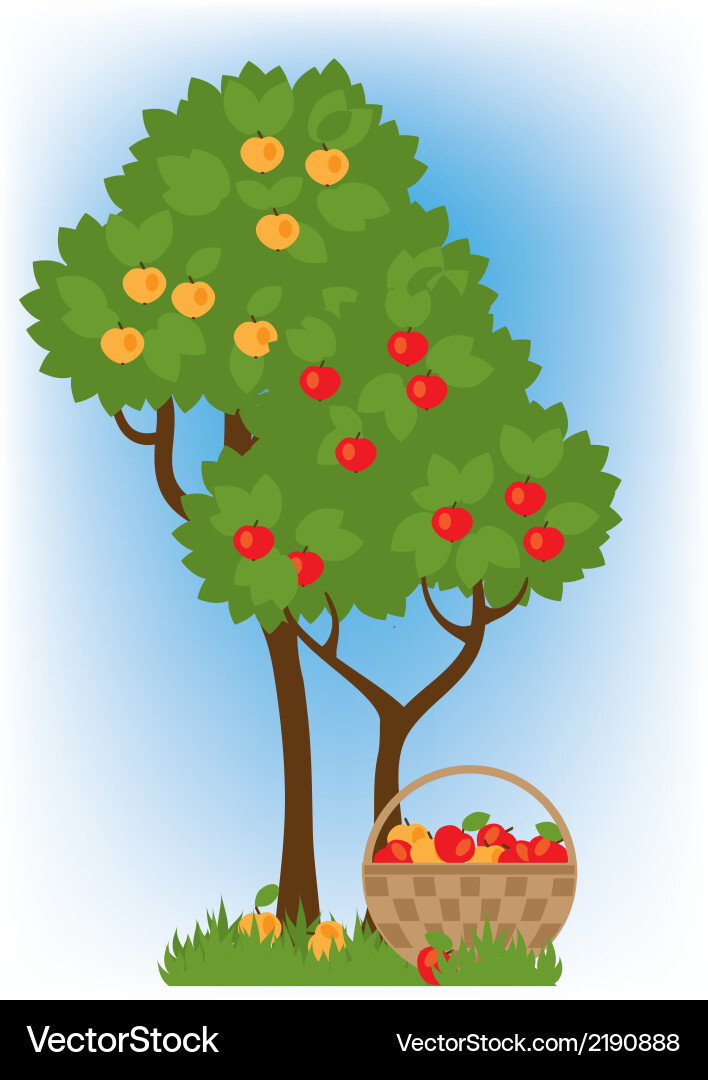 Apple trees Royalty Free Vector Image - VectorStock