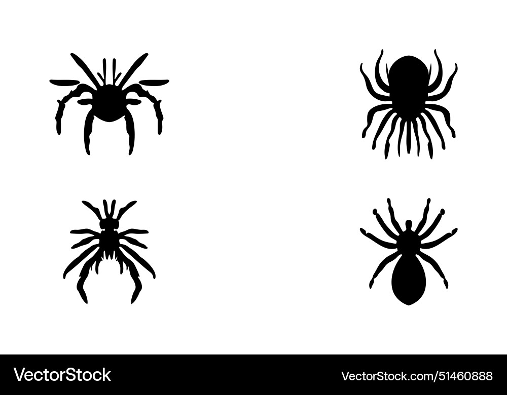 Minimal style arizona blonde tarantula icon design